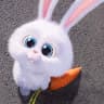 King Bunny