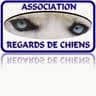REGARDS DE CHIENS Club d'éducation canine