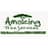 Amazing Tree Service