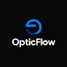 Optic Flow