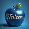 Tesleem Isiaq Abdulkareem