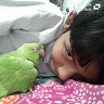 Saumy Agravat