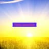 sunshine /news