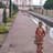 Shreya Chopde