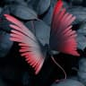 Amy Griesel