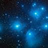 Stellremys N