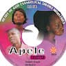 Adeniyi John