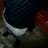 Wilmaury Mosquea abreu