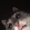 xuout