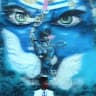 Krishna . S