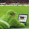 Expert Punter