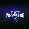 Mr Wayne