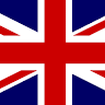 Ripetizioni Inglese