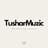 Tushar Muzic