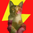 Cat Power