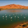 JaY's Morocco Tours