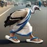 Abhrajit