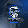 PRO GAMER ZONE