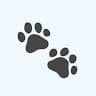 PawsinMotion