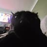 DOUGBOI2600 (DOUGBOI2600)