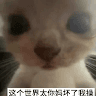 starstar wang