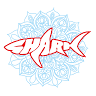 GRUPO SHARK