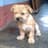 Jose Sebastian Castillo Velasquez