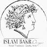 Islam Bakr