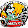 zorrillitoradio