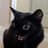 catten type guy