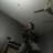Haroon Arshad