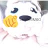 Landie BMGO (Landon Roblox And Terr)