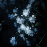 シ!CHAWPAN