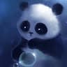 Kill Switch