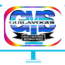 G.M.S.I Guilavogui Multi-service Informatique