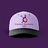 CCHub- Content Creators Hub