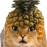 Joe