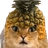 Joe