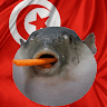 Aylan “ADev” Mhadhbi