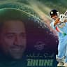 JUST FOR CRICKET FANS