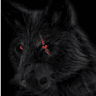 Wolf Black