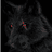 Wolf Black