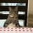 Rachel Shaw
