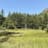 Tayga Vural