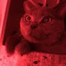 crev