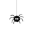 Data Spider