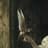 Zach