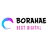 borahae success