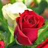 Umesh Kumar