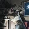Loup Noir